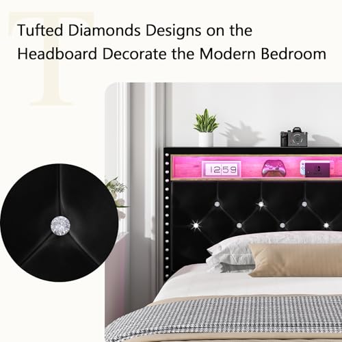 HOMBCK Queen Size Bed Frame with Led Lights, Storage Shelf Headboard, Black Velvet Upholstered, No Box Spring Needed, Noise-Free