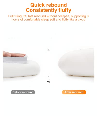 taynoes Pregnancy Pillows for Sleeping, Maternity Pillows, Detachable and Adjustable Pregnancy Must Haves Support for Pregnant Women Back, Belly, Stomach,Side Sleeper Pregnancy Wedge Pillow (Green)