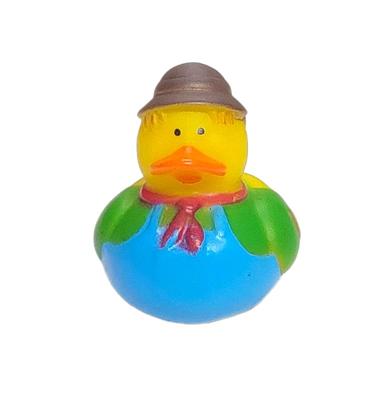Cool Holiday Fall Autum Thanksgiving Rubber Ducks (2") Standard Size. (12 Pack) Cute Duck Bath Tub Pool Toys. (Scarecrow Rubber Ducks)