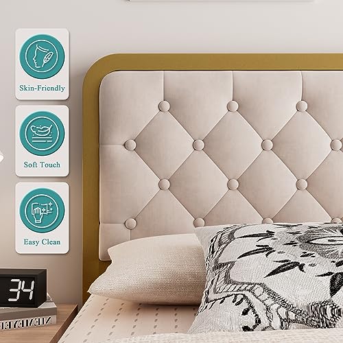 iPormis Queen Size Metal Bed Frame with Velvet Button Tufted Headboard, Curved Platform Bed Frame, Thicker Metal Steel Slats Support, 12'' Under-Bed Space, Noise-Free, Easy Assembly, Gold & Beige