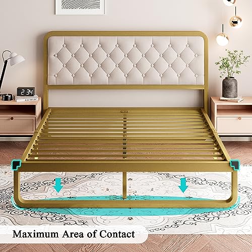 iPormis Queen Size Metal Bed Frame with Velvet Button Tufted Headboard, Curved Platform Bed Frame, Thicker Metal Steel Slats Support, 12'' Under-Bed Space, Noise-Free, Easy Assembly, Gold & Beige