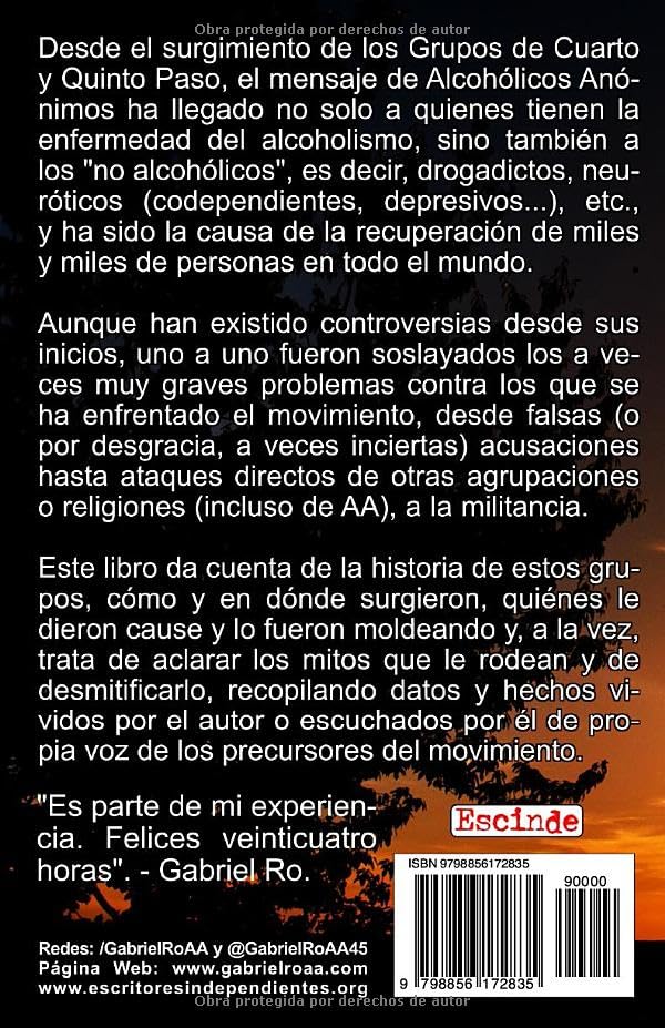 Grupos de Cuarto y Quinto Paso: Mitos, verdades y su historia (Spanish Edition)