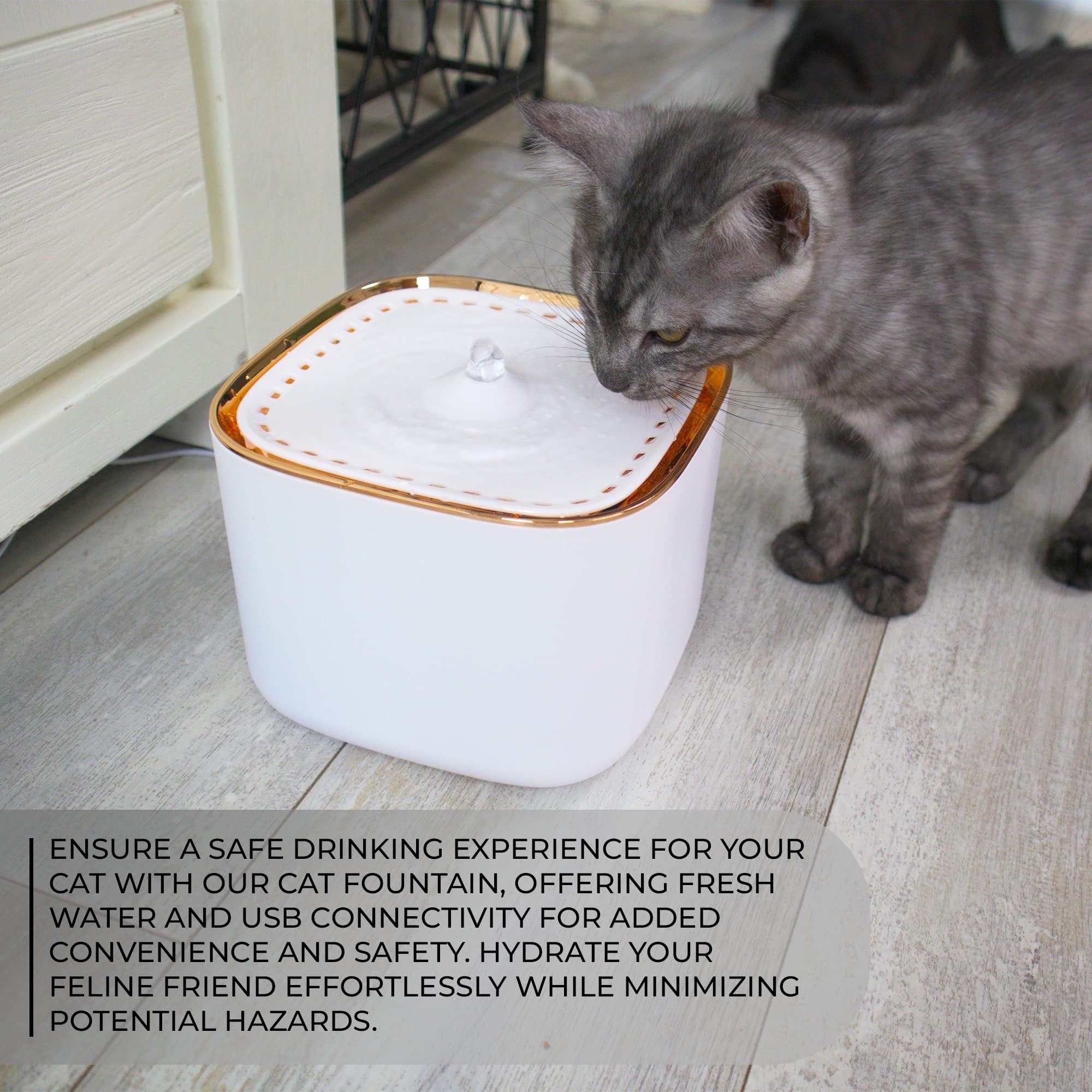 BESTIA Jack Cat Water Fountain - 67oz/2.5L Noise-Free, LED Light, Carbon Absorption Filter, Pet Water Fountain for Cats & Small Dogs (White, Polypropylene)