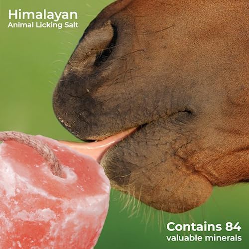 100% Himalayan Salt Lick for Horses 3-4 LBS- Pack of 3 Licking Salt Block for Animals with Minerals, Salt Licks for Cows, Goats, Deer, Cattles & on Rope