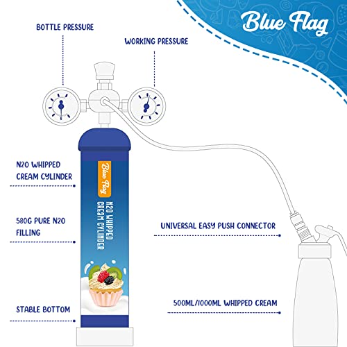 BLUE FLAG 580G N2O Whipped Cream Cylinder Charger High Capacity Pure N2O Nitrous Tank Compatible with Cream Whippers, 2 Pack