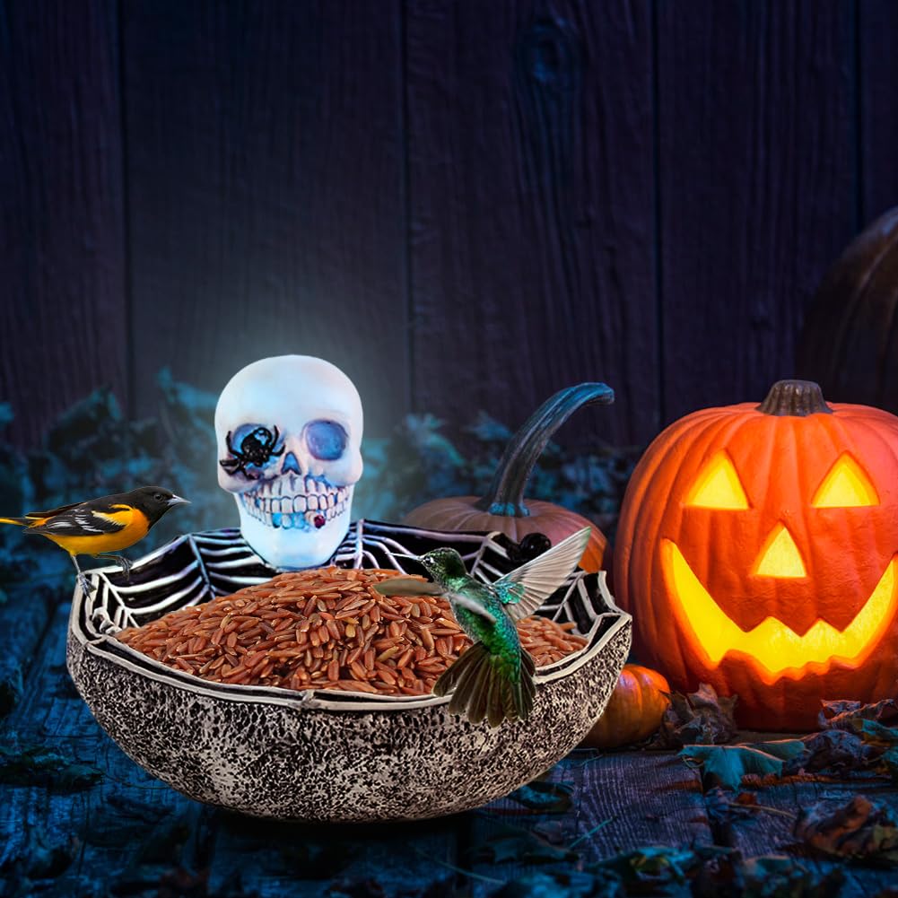 DREAMSOUL 12" Resin Bird Bath, Spider Net Bird Baths for Outdoors, Halloween Skull Birdbath Bowl for Halloween Party Garden Yard Lawn Decor