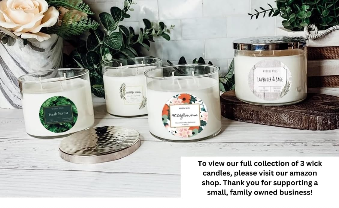 3 Wick Large Candle, Warm & Cozy Vanillla | Scented Candles for Home, 14 oz | Christmas, Holiday Gift | Natural Soy Candles