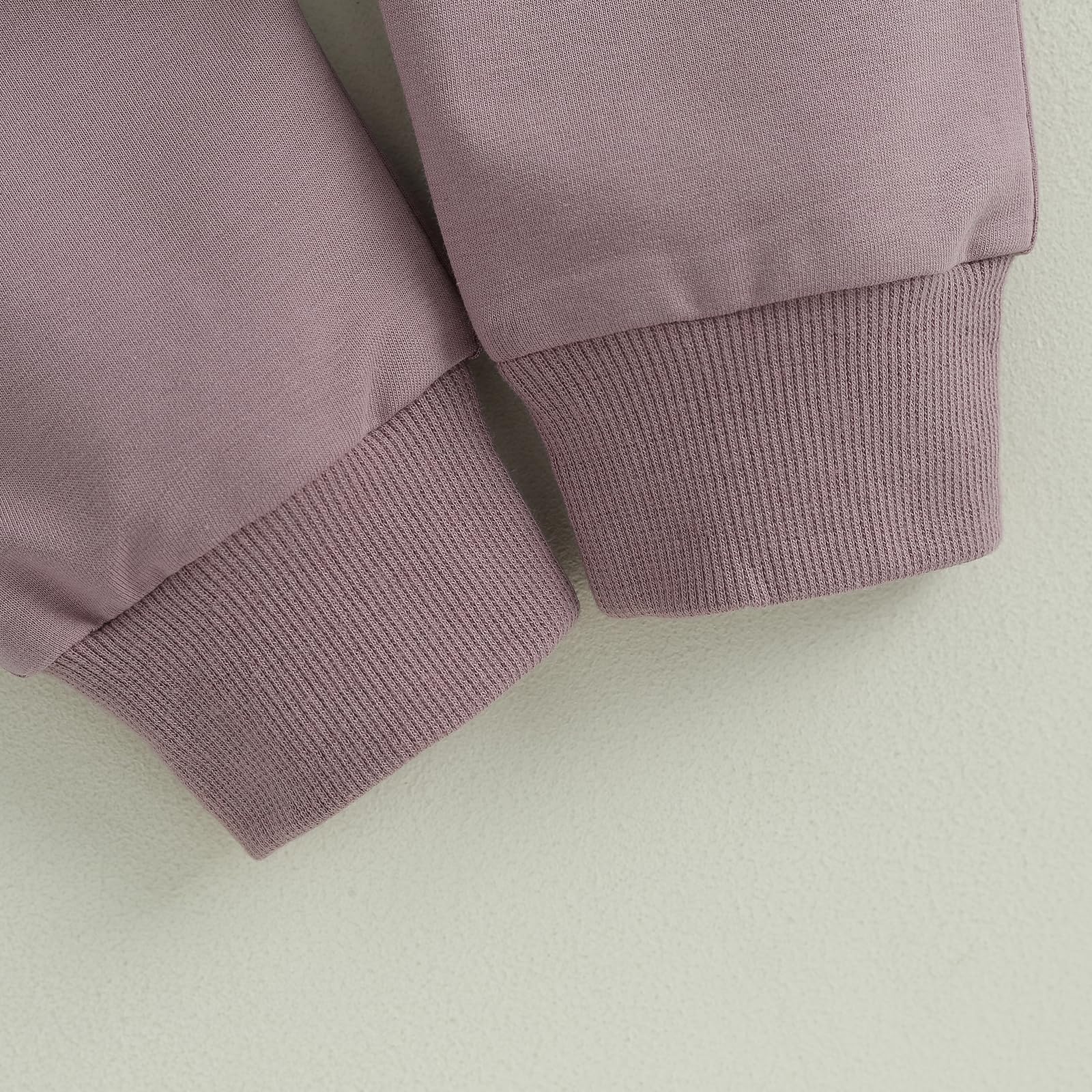 MAYUMMPY Baby Boys Girl Solid Outfit Long Sleeve Crewneck Oversized Sweatshirt Sweatpants Pants Set Fall Winter Clothes (Purple, 18-24 Months)