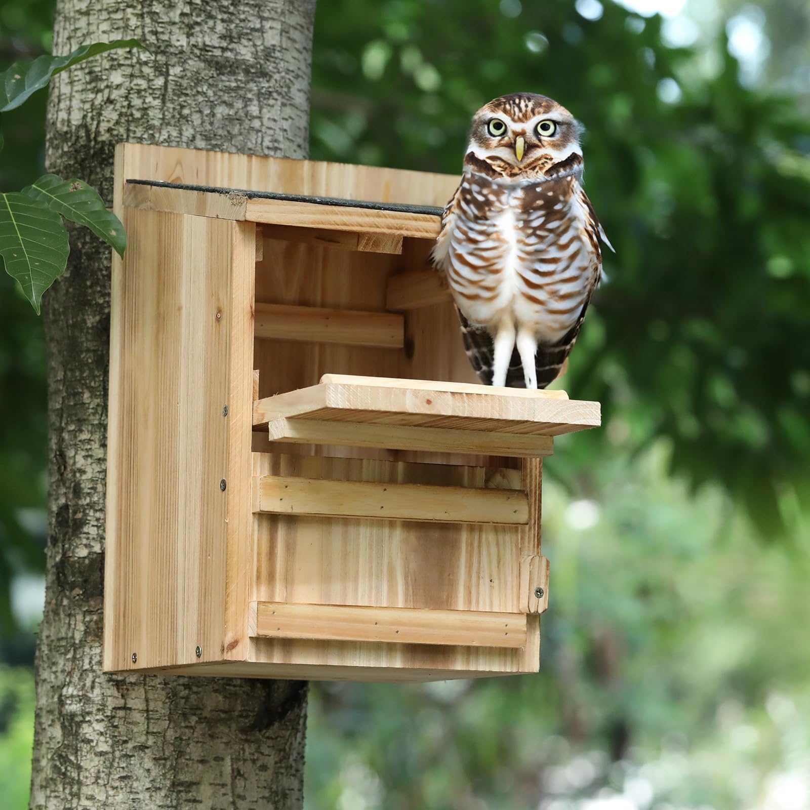 Owl House Screech Owl House Owl House Cedar Barn Owl Bird House House Owls & Kestrels Owl Houses for Outdoors Large Handmade Wooden Rectangular Opening Bird Box with Mounting Screws Easy Assembly