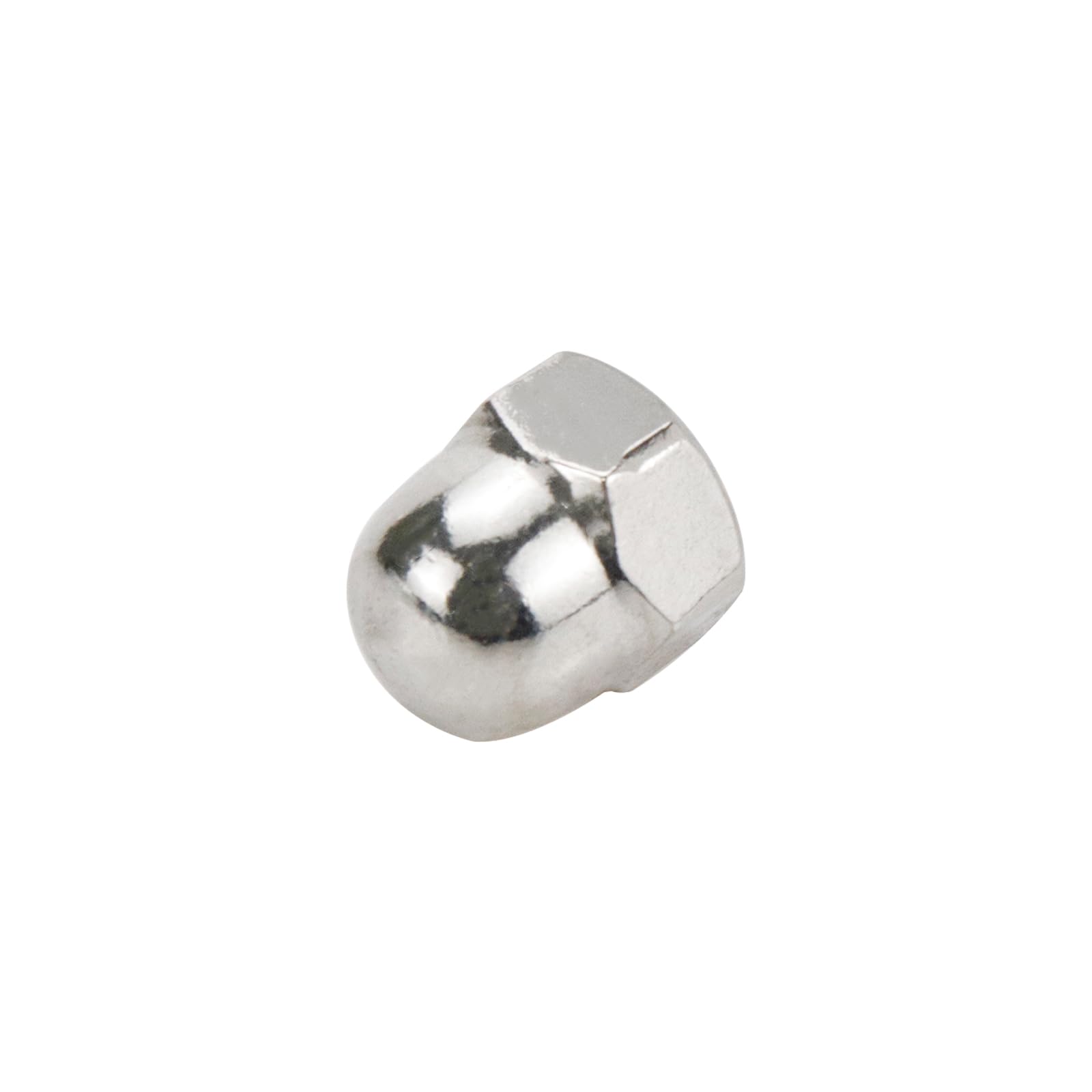 Dahszhi 10 Pcs 5/16-18 Acorn Hex Cap Nuts,Acorn Nuts 304 Stainless Steel Hex Nut