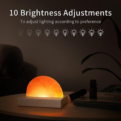 Himalayan Pink Salt Lamp Night Light, Natural Crystal Rock Salt Lamp Dimmable, Negative Ion Crystal Salt Lamp for Home Decoration, Ideal Gift for Friends