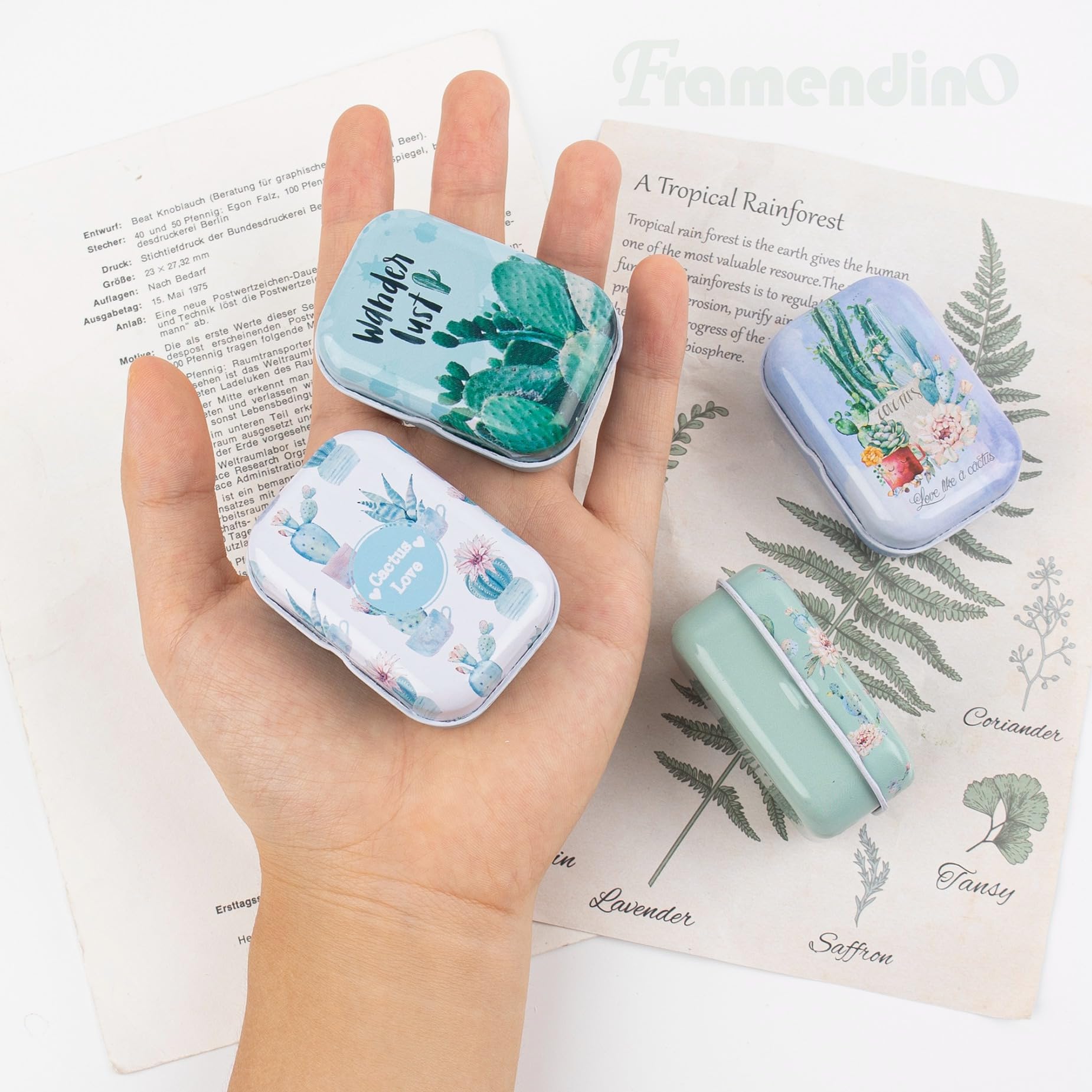 Framendino, 5 Pack Mini Trinket Coin Box Cactus Tin Containers with Lid for Jewelry Storage Case (Random Color)