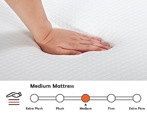 5/6/8/10/12 inch Full Size Mattress with Cover, Green Tea Cooling Gel Memory Foam Mattress for a Cool Sleep & Pressure Relief, Medium Firm Base Foam Mattresses, Bed in a Box, CertiPUR-US Certified