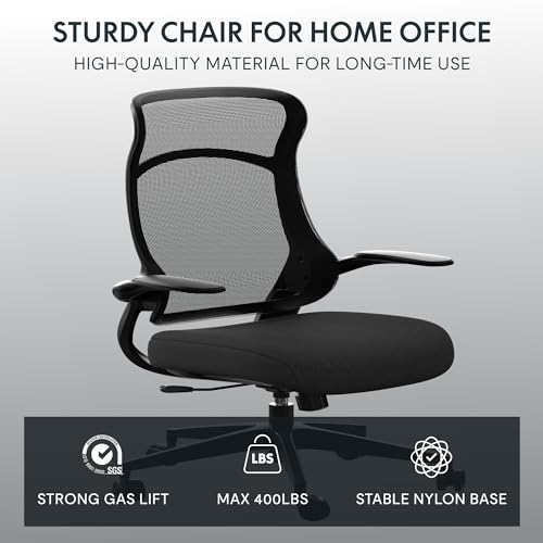 FLEXISPOT OC2 Comfy Office Chair Ergonomic Back Support Home Office Desk Chairs Comfortable Computer Chair with Flip-up Arm Rest Comfy Chair for Living Room/Bedroom/Study(Black)