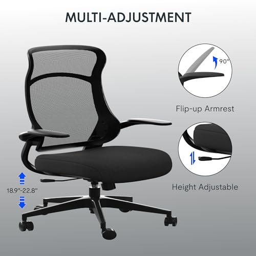 FLEXISPOT OC2 Comfy Office Chair Ergonomic Back Support Home Office Desk Chairs Comfortable Computer Chair with Flip-up Arm Rest Comfy Chair for Living Room/Bedroom/Study(Black)