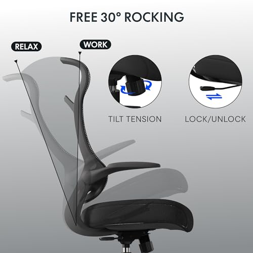 FLEXISPOT OC2 Comfy Office Chair Ergonomic Back Support Home Office Desk Chairs Comfortable Computer Chair with Flip-up Arm Rest Comfy Chair for Living Room/Bedroom/Study(Black)