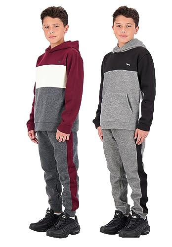TONY HAWK 4 Piece Boys Jogger Sets for Kids 2 Pack Fleece Hoodie and Pull-On Sweatpants for Kids Skateboarding