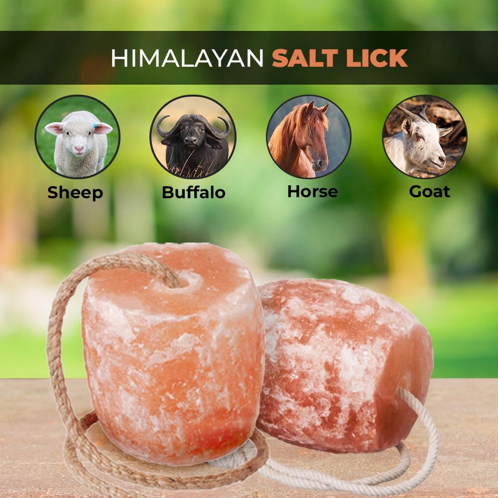 Generic Himalayan Salt Lick, 6.0 pounds, 3-Pack, for Horses, Deer, and Other Animals