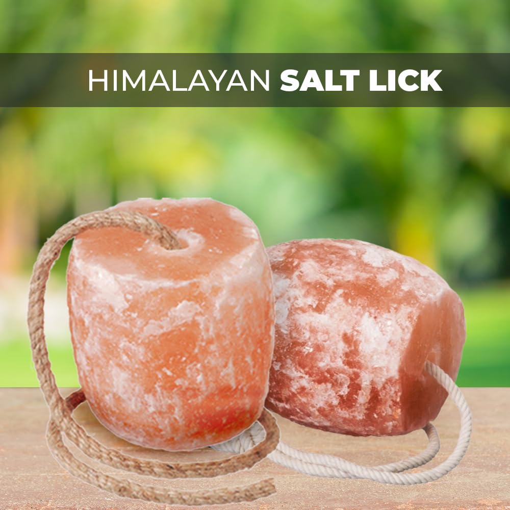 Himalayan Salt Lick 4-5 lbs | Pack of 4 | Salt Lick Deer | Licking Salt for Horses |Himalayan Licking Salt for Animals | Deer Salt Lick Block | Block Salt on Rope.