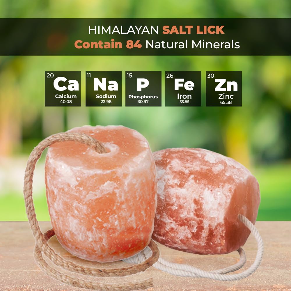 Himalayan Salt Lick 4-5 lbs | Pack of 4 | Salt Lick Deer | Licking Salt for Horses |Himalayan Licking Salt for Animals | Deer Salt Lick Block | Block Salt on Rope.
