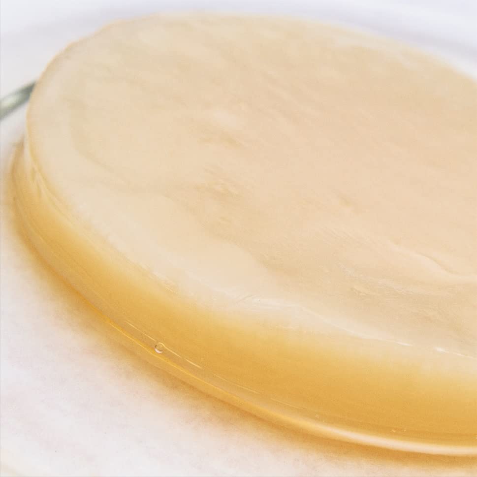 Kombucha.com Scoby with Free Organic Tea Blend Sample