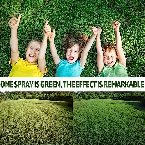 Alkyne Green Grass Lawn Spray, Cowboy Green Grass Seed Spray, Greenrevive Hydroseeding Lawn Solution Grass Seed Spray, Lorco Green Grass Lawn Spray, Liquid Grass Seed Spray for Lawn (10pcs)