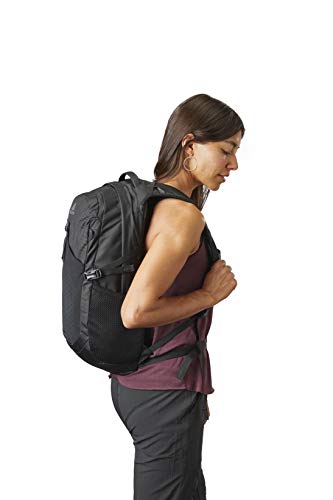 Gregory Mountain Products Nano 20 Daypack, Burnt Amber, One Size