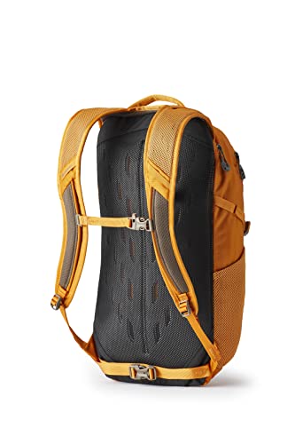 Gregory Mountain Products Nano 20 Daypack, Burnt Amber, One Size