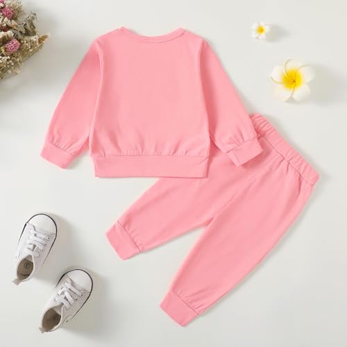 Mikrdoo 18M Toddler Baby Girl ClothesSweatshirt Top Pants Set 18-24 Months