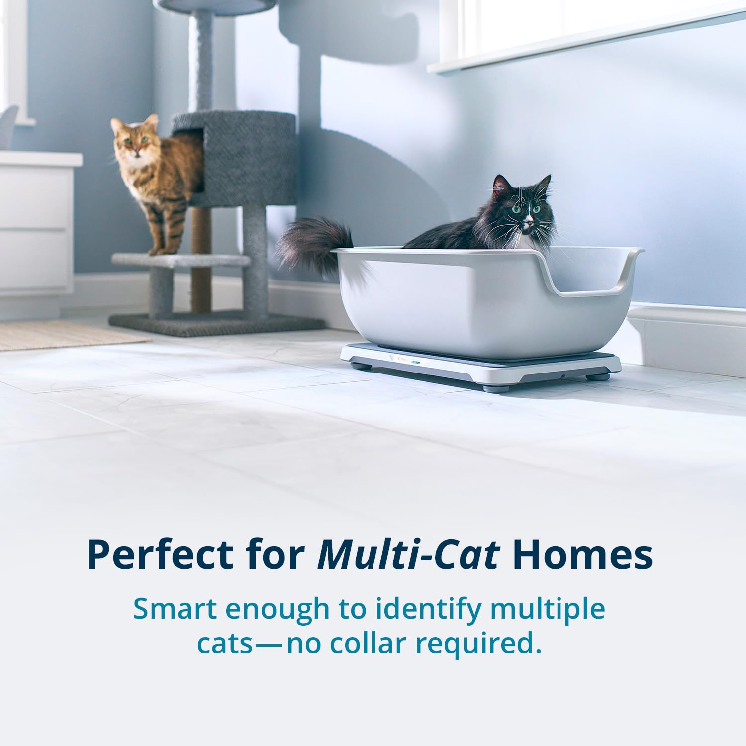 Petivity Smart Litterbox Health Monitoring System for Cat Health