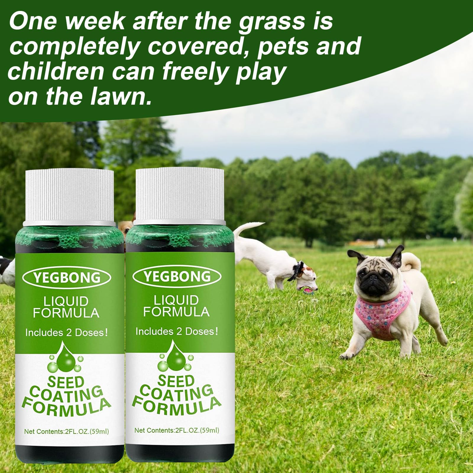 5 PCS Green Grass Lawn Spray, Greenrevive Hydroseeding Lawn Solution Grass Seed Spray,Liquid Grass Seed Spray for Lawn,Hydro Grass Seed Spray(59ml)