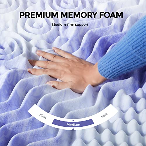Dreamsmith 2 Inch 7-Zone Queen Memory Foam Mattress Topper, Cooling Gel Infused Foam Mattress Topper Queen for Pressure Relief, CertiPUR-US Certified Purple