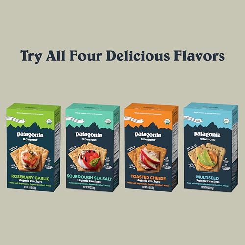 Patagonia Provisions - Sourdough Sea Salt - Certified Organic Crackers - Non-GMO, Plant-Based, No Added Sugar