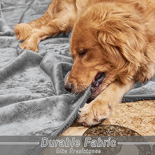 NICETOWN Dog Blanket for Small Medium Dogs Pet Day, Sherpa Soft Warm Pet Fleece Throw for Indoor Cats, Soft Blanket Furniture Protector Sofa Couch Bed Crate for Pet Lovers, Light Grey, 24x32