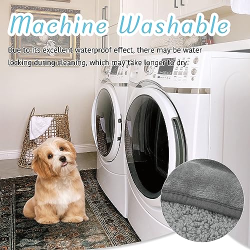 NICETOWN Dog Blanket for Small Medium Dogs Pet Day, Sherpa Soft Warm Pet Fleece Throw for Indoor Cats, Soft Blanket Furniture Protector Sofa Couch Bed Crate for Pet Lovers, Light Grey, 24x32