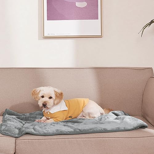 NICETOWN Dog Blanket for Small Medium Dogs Pet Day, Sherpa Soft Warm Pet Fleece Throw for Indoor Cats, Soft Blanket Furniture Protector Sofa Couch Bed Crate for Pet Lovers, Light Grey, 24x32