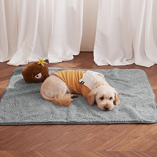 NICETOWN Dog Blanket for Small Medium Dogs Pet Day, Sherpa Soft Warm Pet Fleece Throw for Indoor Cats, Soft Blanket Furniture Protector Sofa Couch Bed Crate for Pet Lovers, Light Grey, 24x32