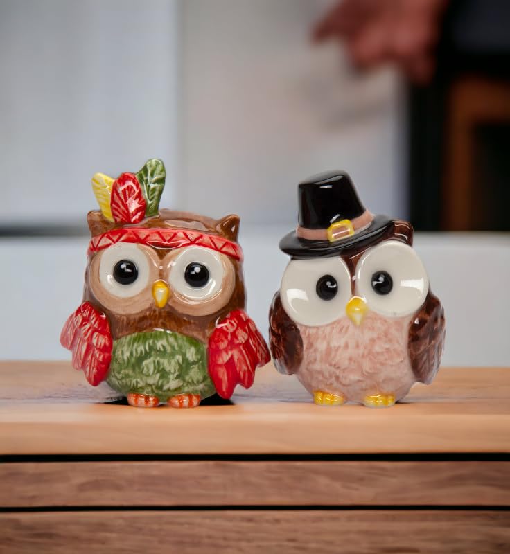 Fine Ceramic Thanksgiving Pilgrim & Native American Indian Owl Salt & Pepper Shakers Set, 2-7/8" H