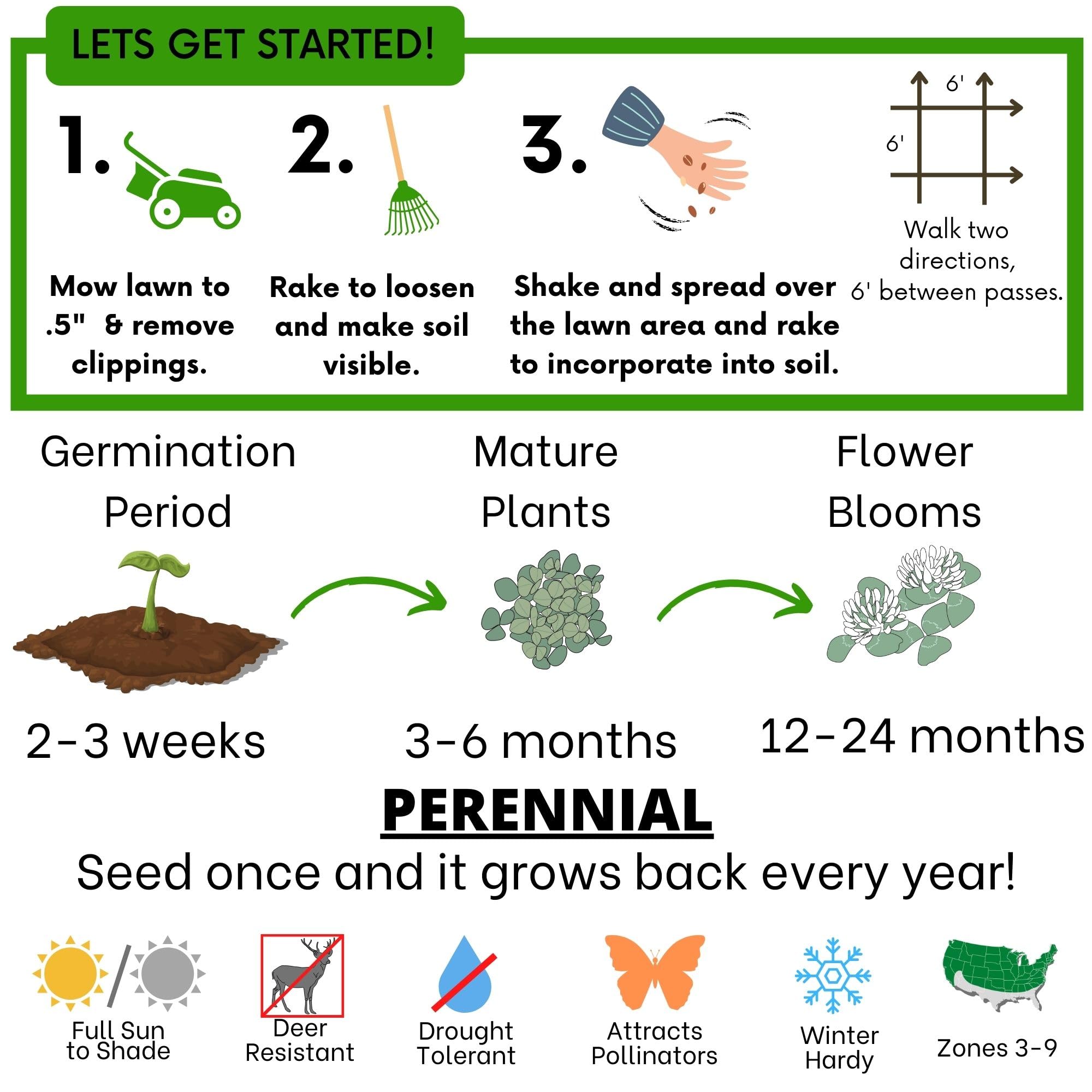 Flawn Seed Dutch White Clover Seed, Low Maintenance, Eco/Pollinator Friendly Flowering Lawn, Kid, Pet, Grass Alternative, Easy Open Compostable Pouch, Easy Spread Up to 500 SqFt
