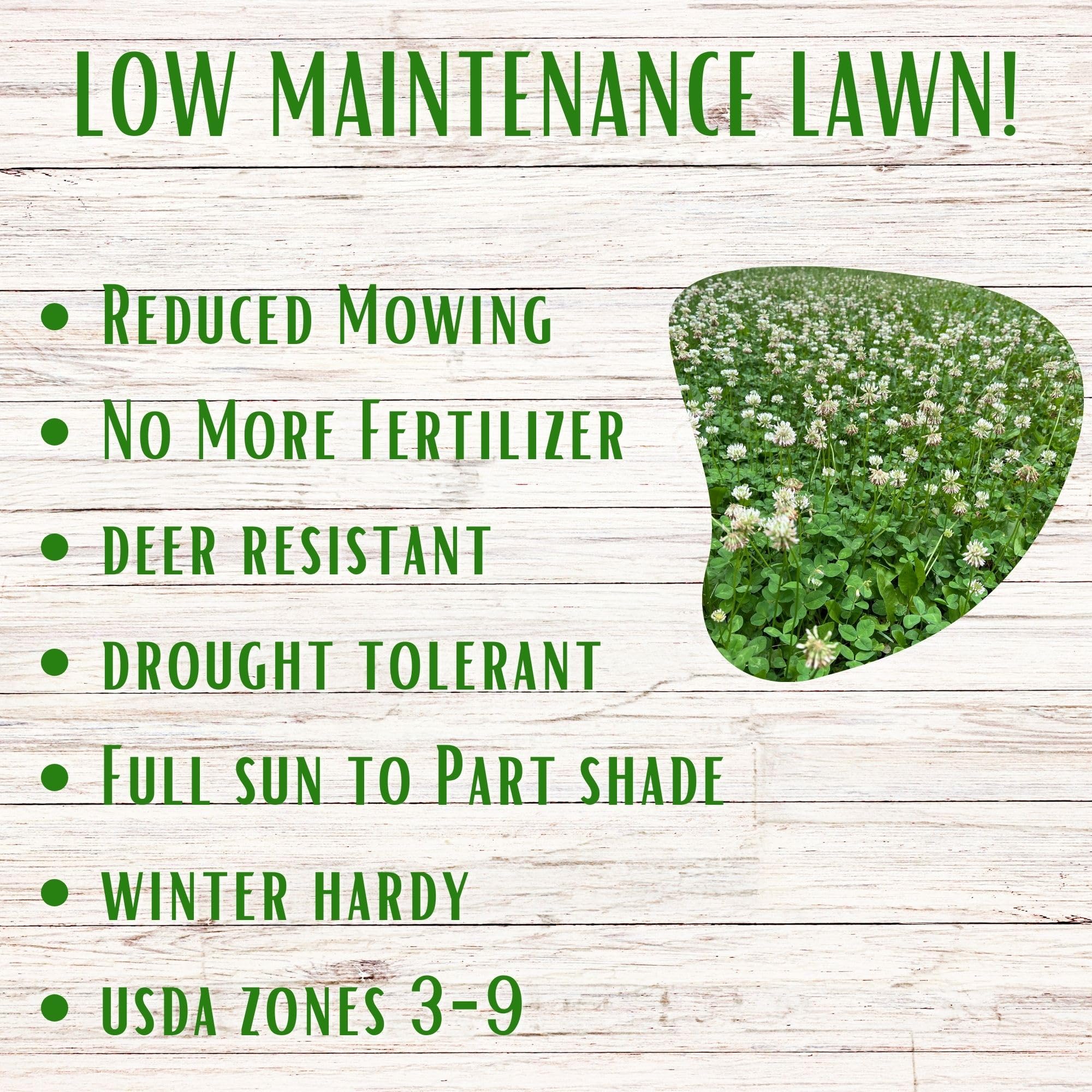 Flawn Seed Dutch White Clover Seed, Low Maintenance, Eco/Pollinator Friendly Flowering Lawn, Kid, Pet, Grass Alternative, Easy Open Compostable Pouch, Easy Spread Up to 500 SqFt