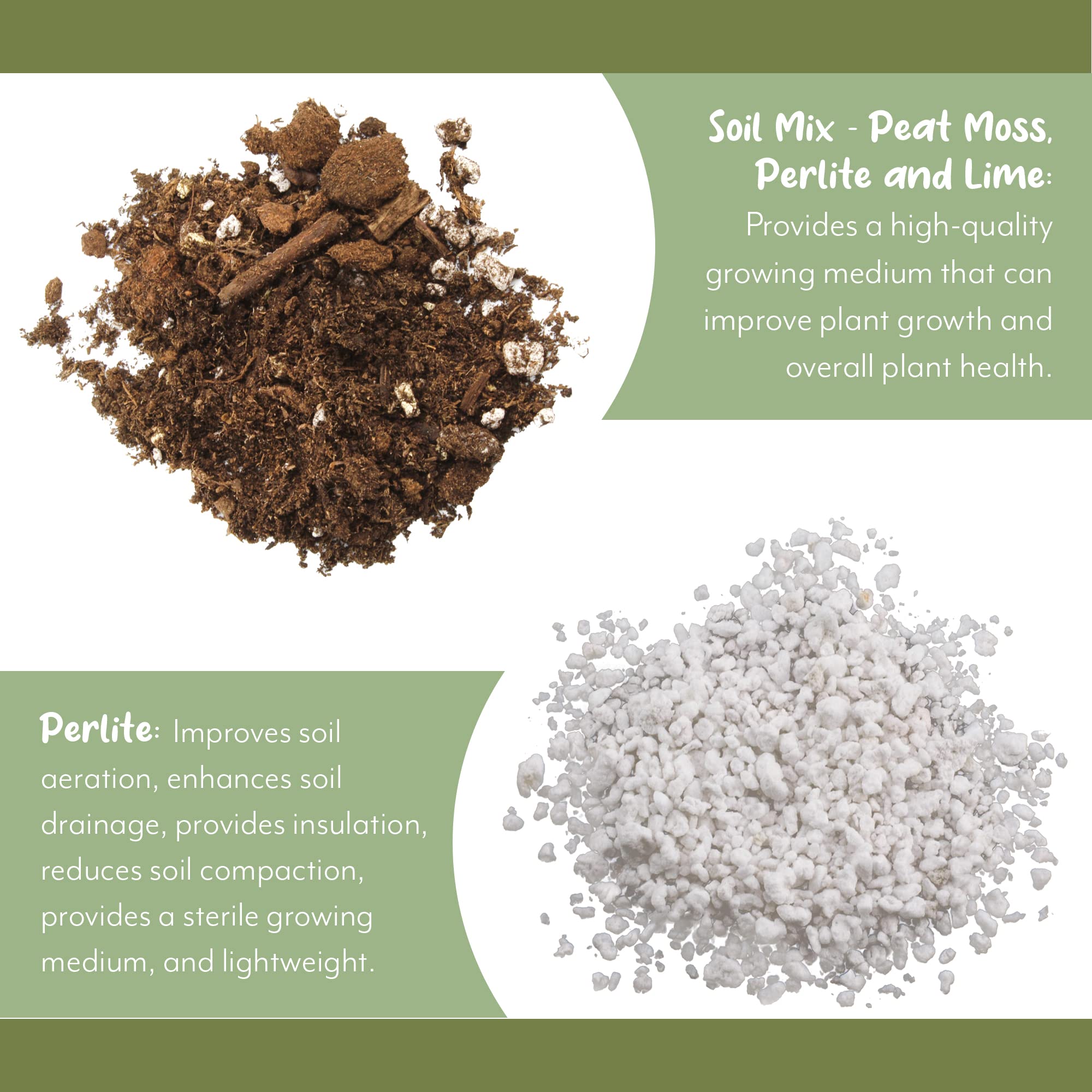 Bird of Paradise Potting Soil Mix (8 Quarts), All Natural Mix for Indoor/Outdoor Container Tropical Plants