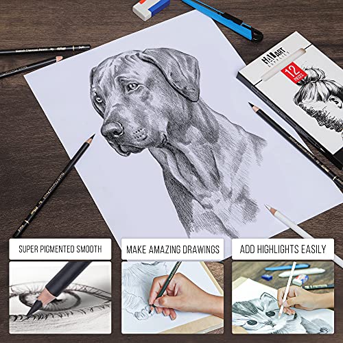 Galart Supplies Charcoal Drawing Set – 12 Pieces Pre-Sharped Soft, Medium, Hard and White Charcoal Pencils for Drawing with Organizer Tray, Shading and Sketching for Artists and Beginners