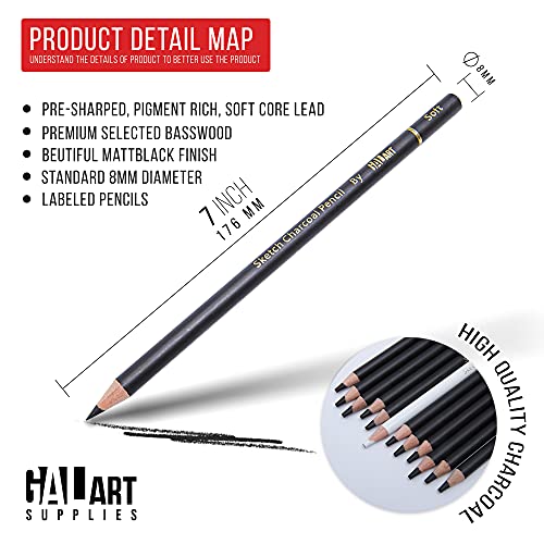 Galart Supplies Charcoal Drawing Set – 12 Pieces Pre-Sharped Soft, Medium, Hard and White Charcoal Pencils for Drawing with Organizer Tray, Shading and Sketching for Artists and Beginners