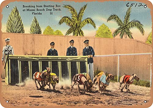 7 x 10 METAL SIGN - Florida Postcard - Breaking from the starting box at Miami Beach dog track, Florida - Vintage Rusty Look