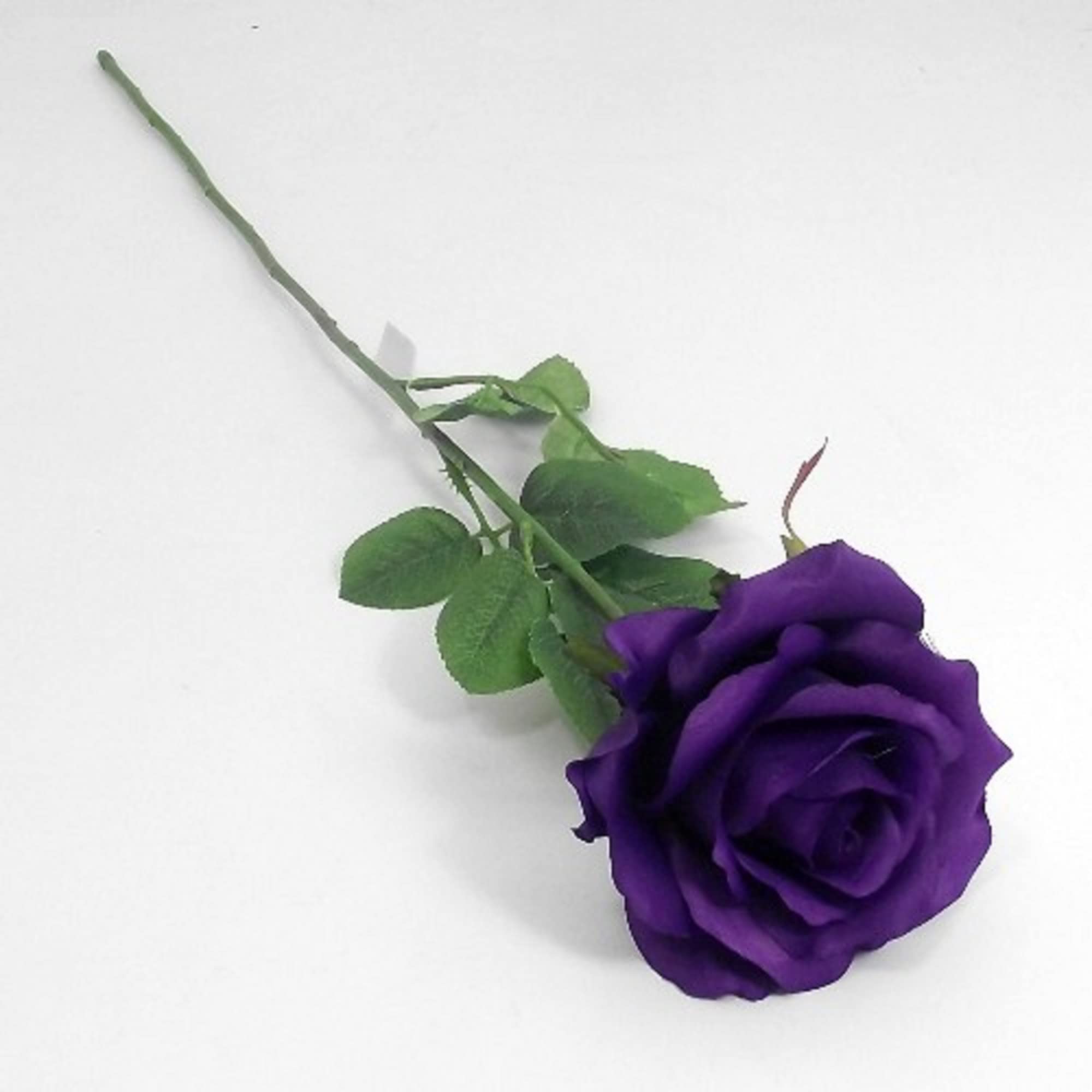 CHUXAY GARDEN Purple Rose Seed 100 Seeds Rare Rosa Bush Heirloom Perennial Flowering Plant Striking Bush Vine Climber