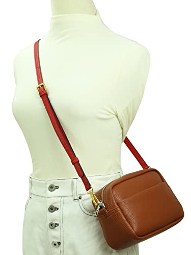 ZANQANO Leather Purse Strap Replacement Crossbody Bag Handbag Adjustable Long (Red, Silver hardware)