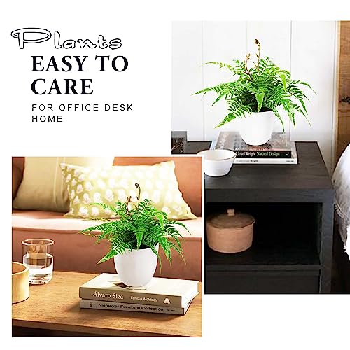 NOUKOW 14" Small Fake Boston Ferns Artificial Plants for Home Decor intdoor Fake Potted Plants for Office Desk Farmhouse Room Decor