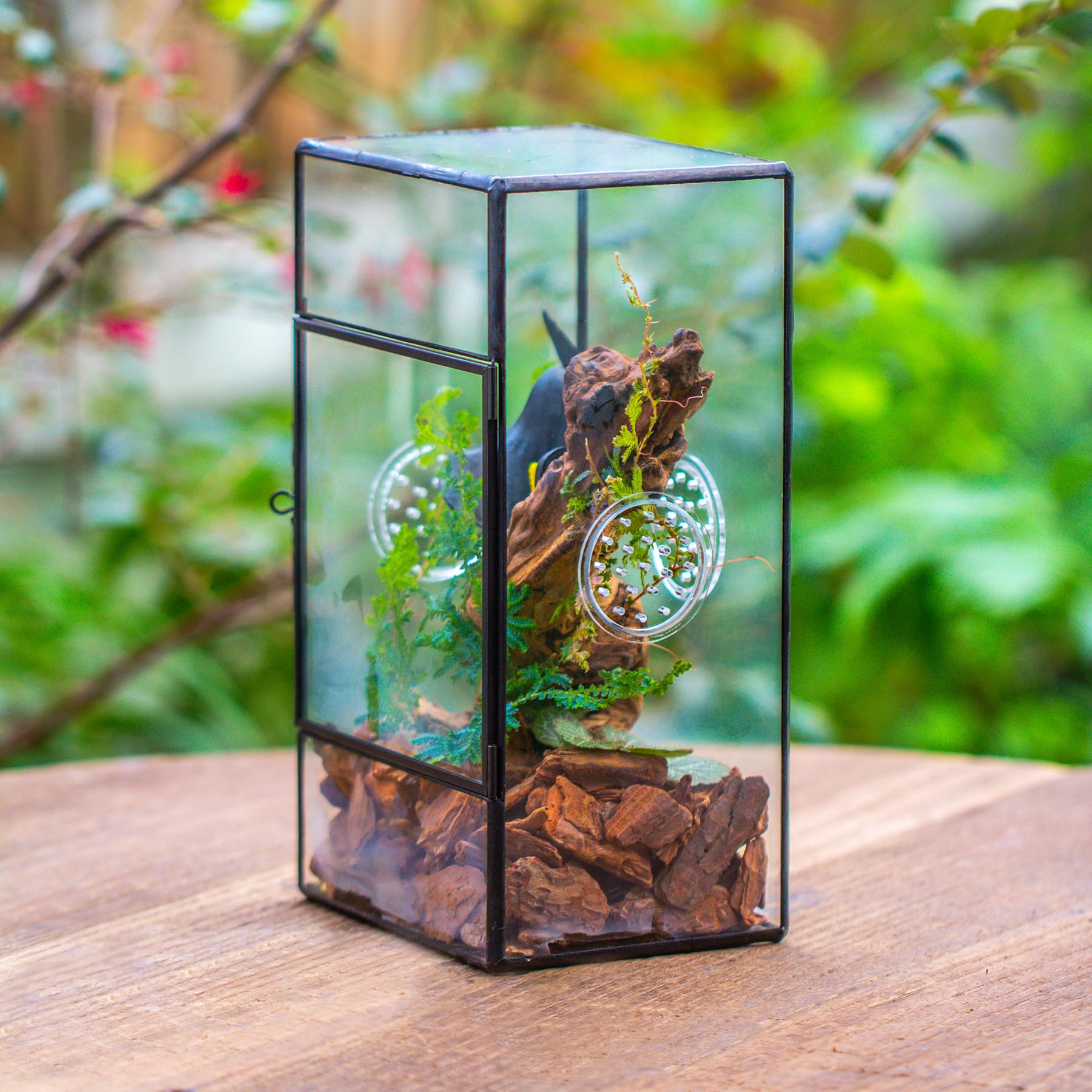 NCYP Small Glass Terrarium with 3 Vent Holes for Large Jumping Spider - 5.1" x 3.9" x 9" - Front Opening Door Insects Enclosure Habitat, Rectangle Black - Holes Diameter 0.12" (Terrarium Only)