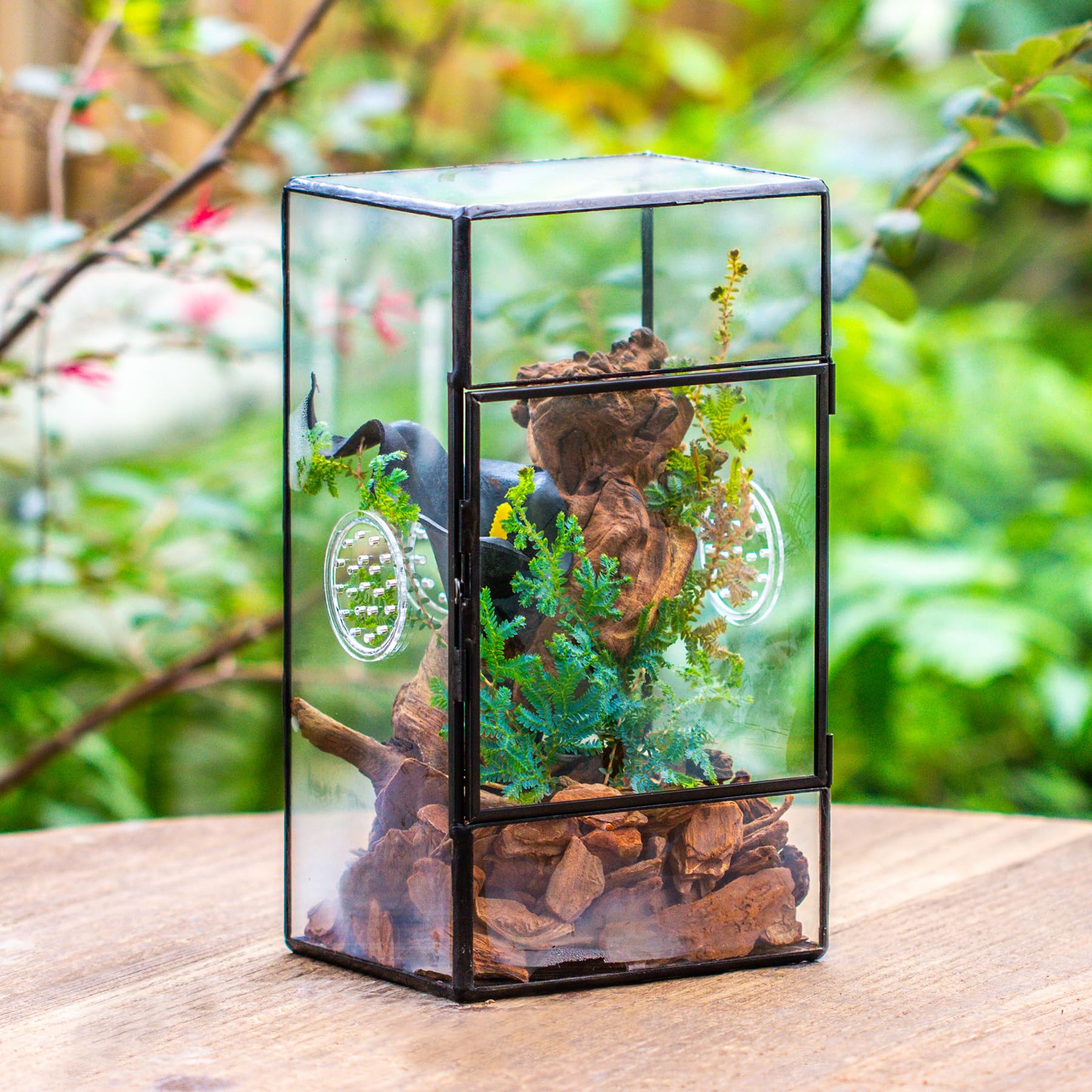 NCYP Small Glass Terrarium with 3 Vent Holes for Large Jumping Spider - 5.1" x 3.9" x 9" - Front Opening Door Insects Enclosure Habitat, Rectangle Black - Holes Diameter 0.12" (Terrarium Only)