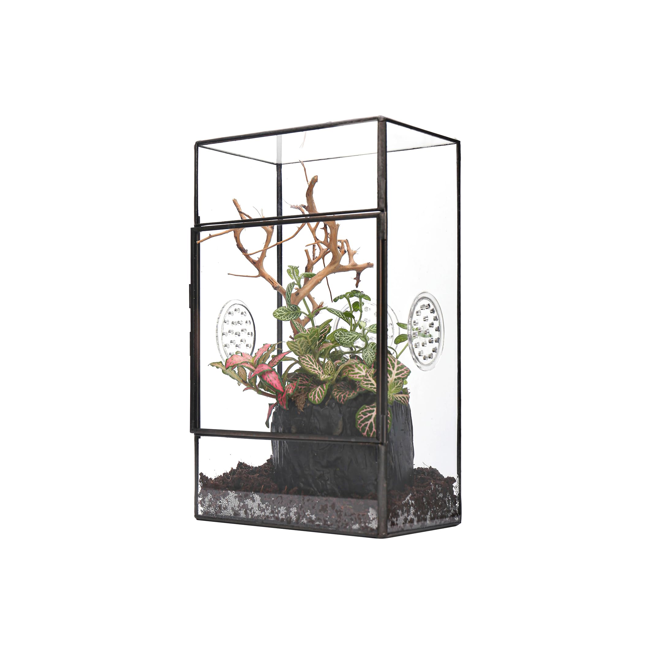 NCYP Small Glass Terrarium with 3 Vent Holes for Large Jumping Spider - 5.1" x 3.9" x 9" - Front Opening Door Insects Enclosure Habitat, Rectangle Black - Holes Diameter 0.12" (Terrarium Only)